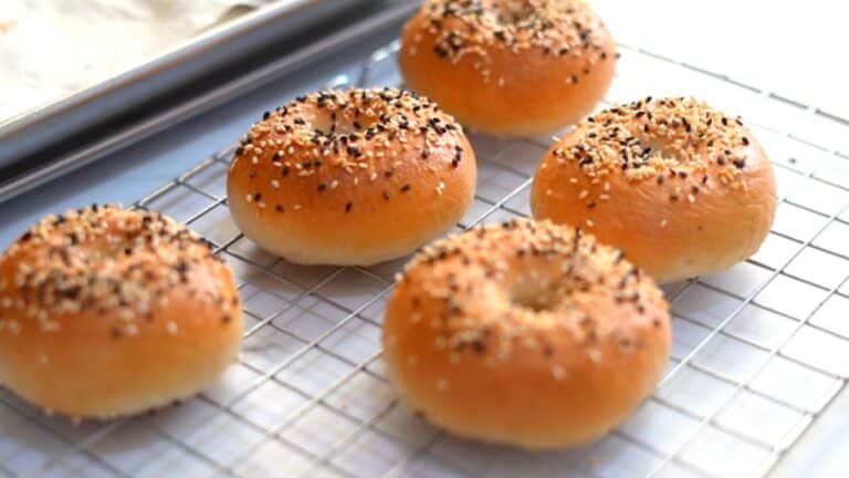 Easy Bagel Recipe :Best Recipe for Homemade Bagels | MerryBoosters