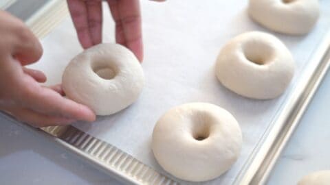 Easy Bagel Recipe :Best Recipe for Homemade Bagels | MerryBoosters