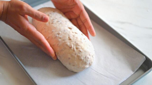 Sunflower Seed Bread (Super Easy No knead Sunflower Bread) | MerryBoosters