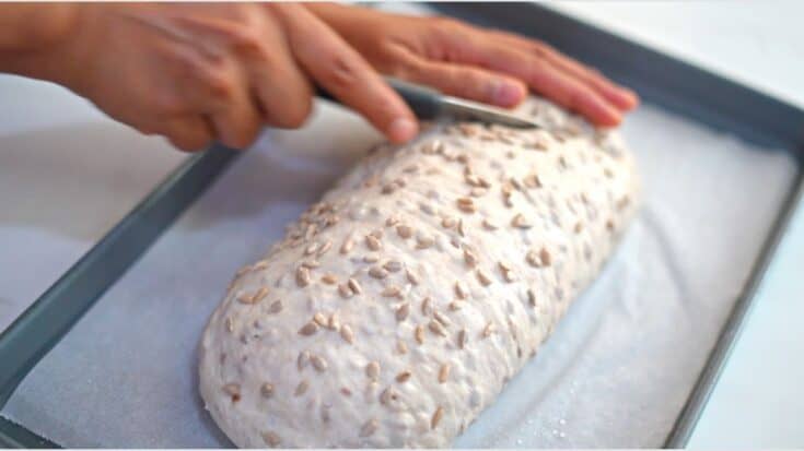 Sunflower Seed Bread (Super Easy No knead Sunflower Bread) | MerryBoosters