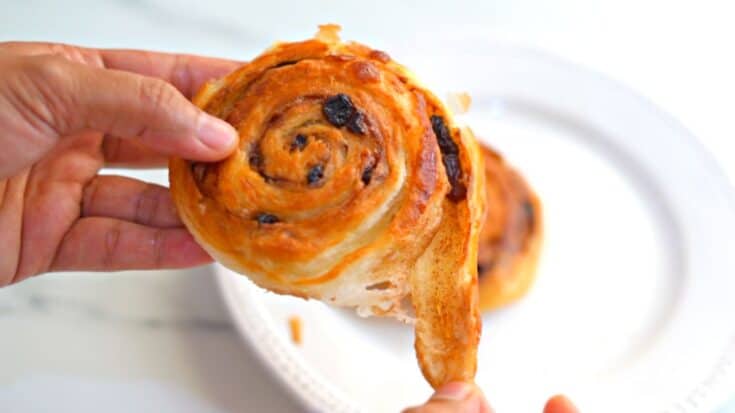 Cinnamon Danish Pastry Recipe (kanelsnegl) : Easy Danish Recipe ...