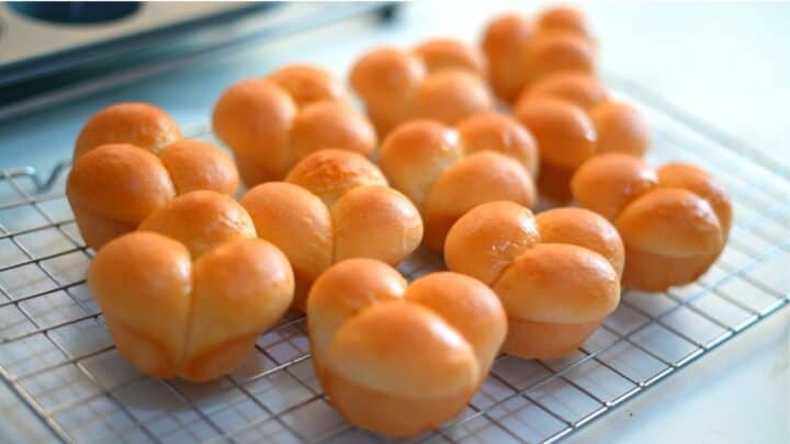 Old Fashioned Cloverleaf Rolls Recipe | MerryBoosters
