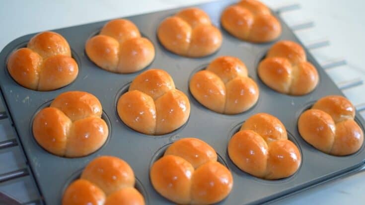 Old Fashioned Cloverleaf Rolls Recipe | MerryBoosters